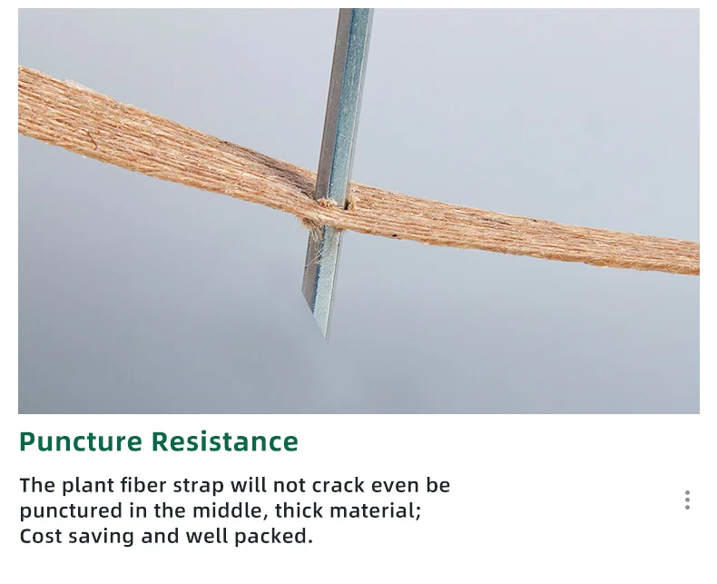 Eco-Friendly 2024 Ameson Plant Fiber Pallet Strap - Biodegradable ...