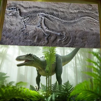 Museum Quality Fiberglass Dinosaur Skeleton Fossils For Display - Buy ...