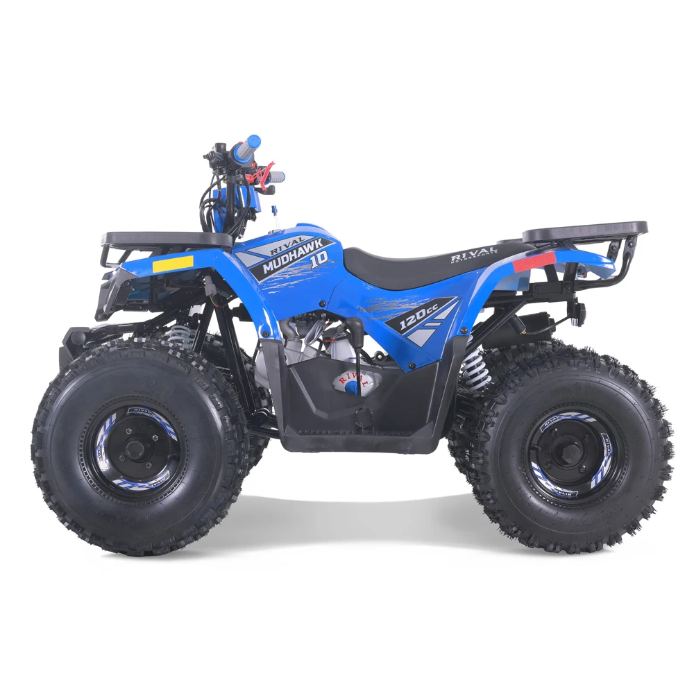 Tao Motor 2024 New Cheap Farm ATV Automatic Chain DriveQuad Kids 110cc ...