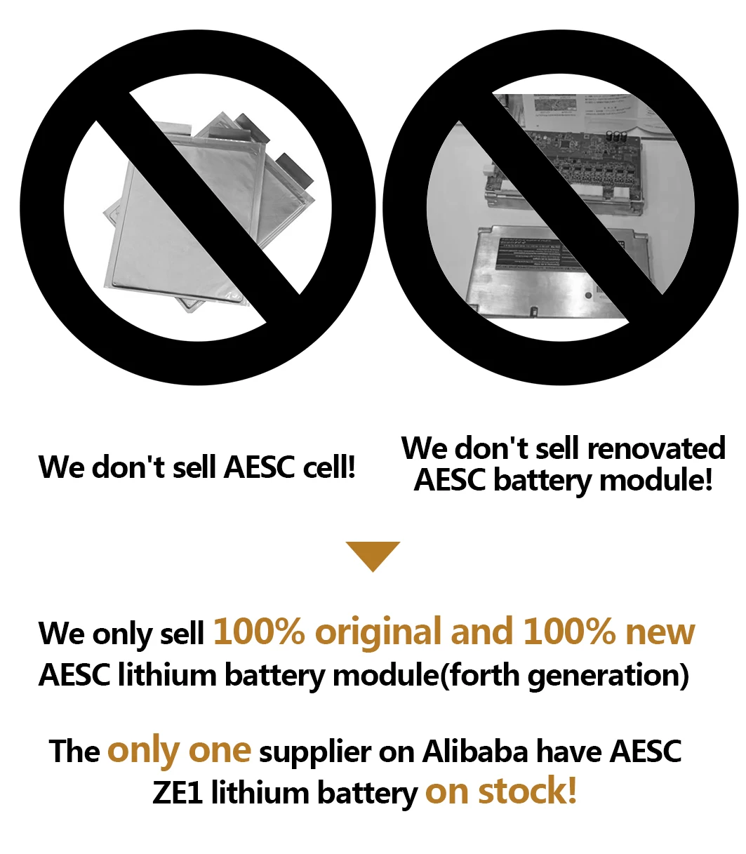 2012 New Electric Vehicle Cells Onboard Charger Nissan Leaf Nissan Leaf ...