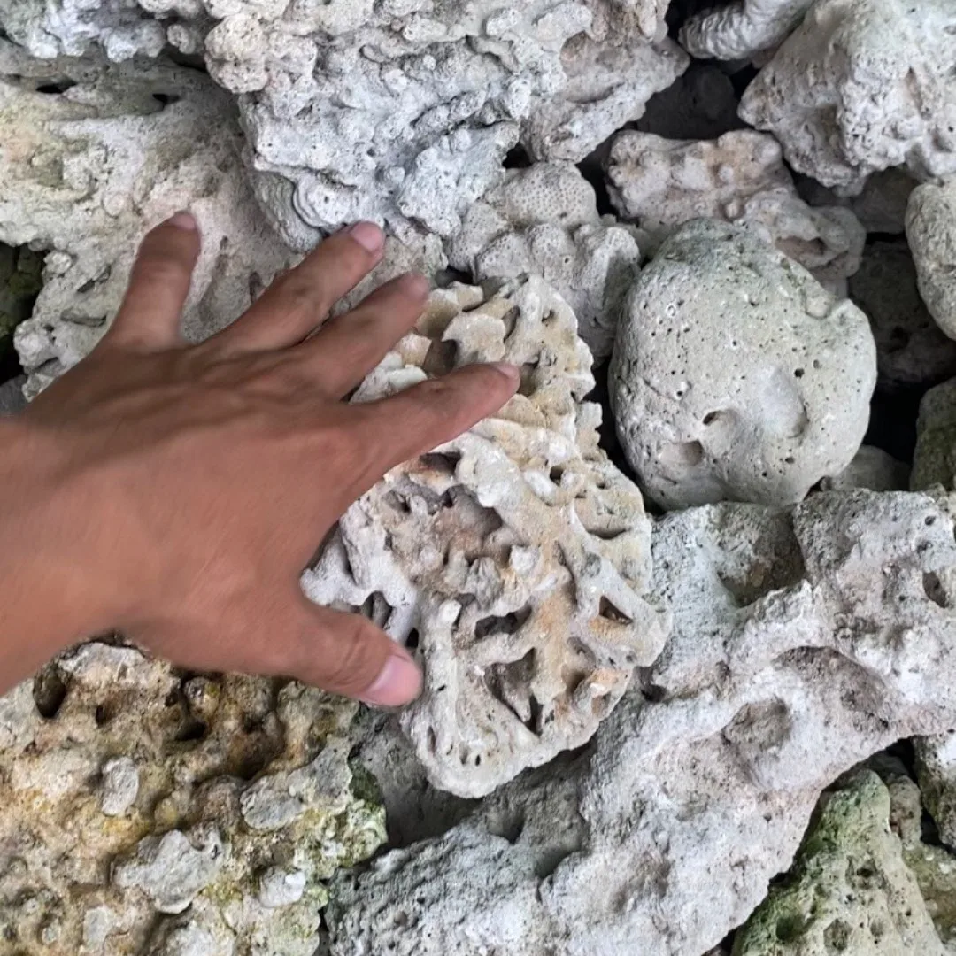 Vietnam,Coral Rock,Coral Stone,Decorative Coral Stone For Aquarium ...
