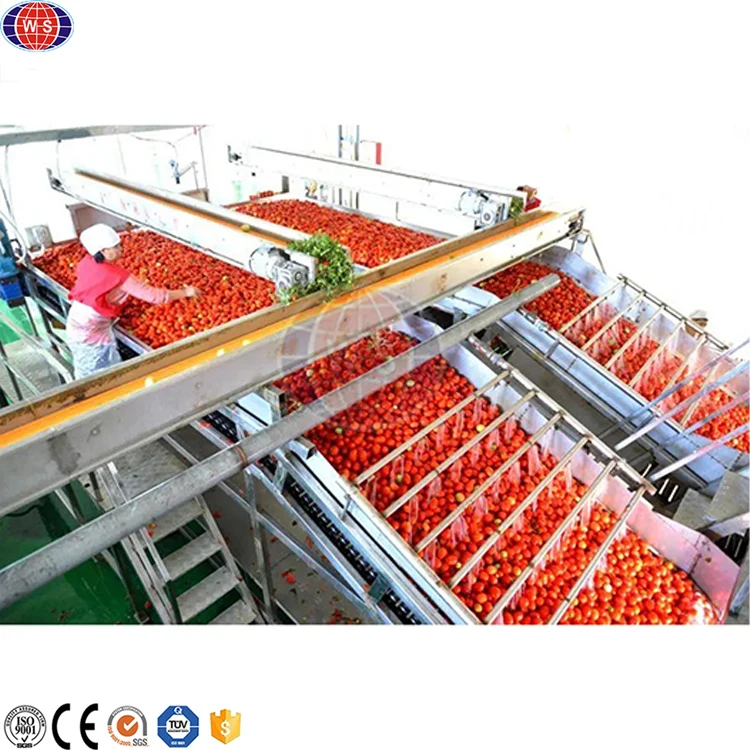 High Efficiency Tomato Paste Making Machine - 1 Year Warranty