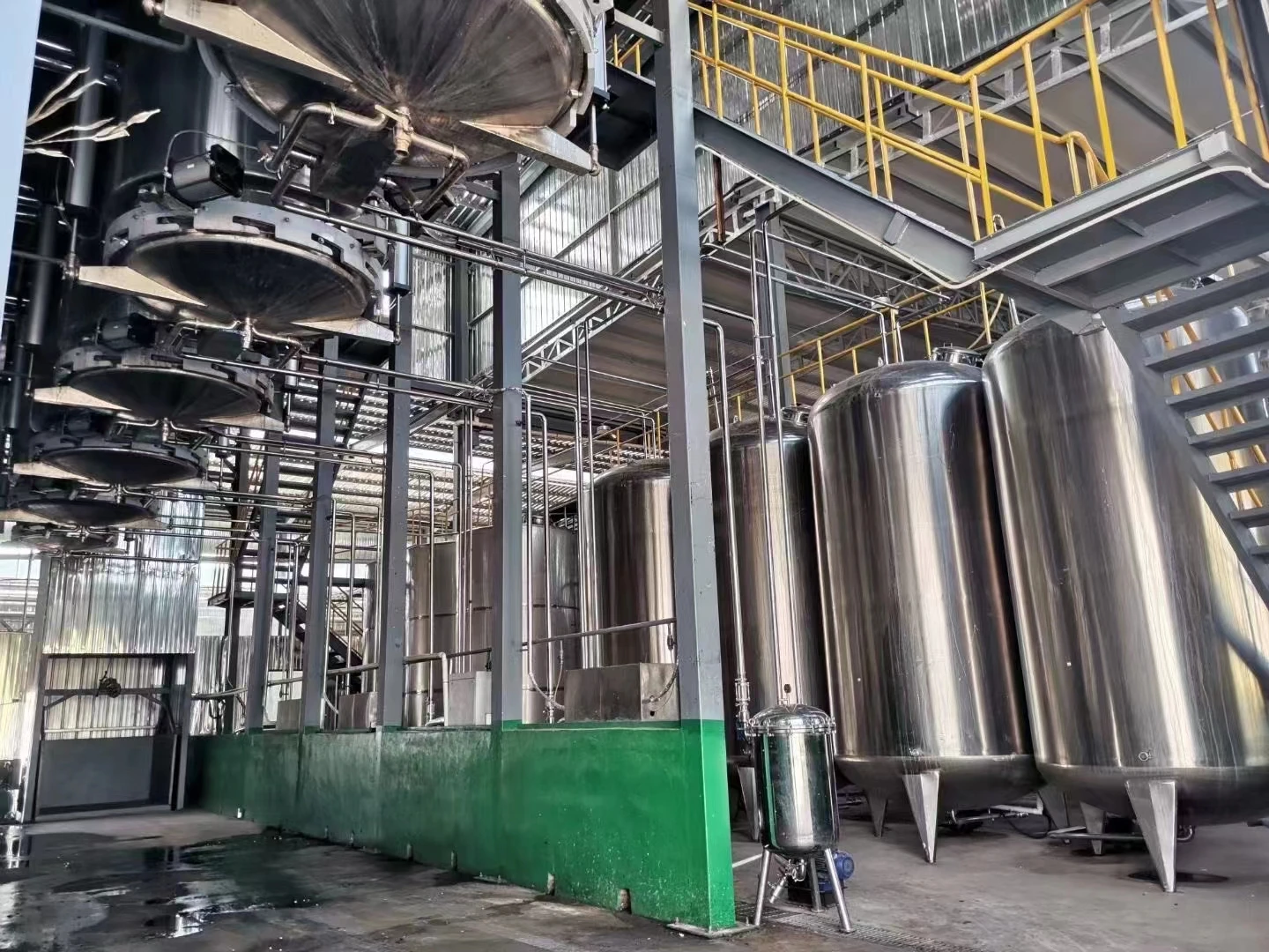 Natural Food Additives Factory Produces Elderberry Extract Elderberry ...