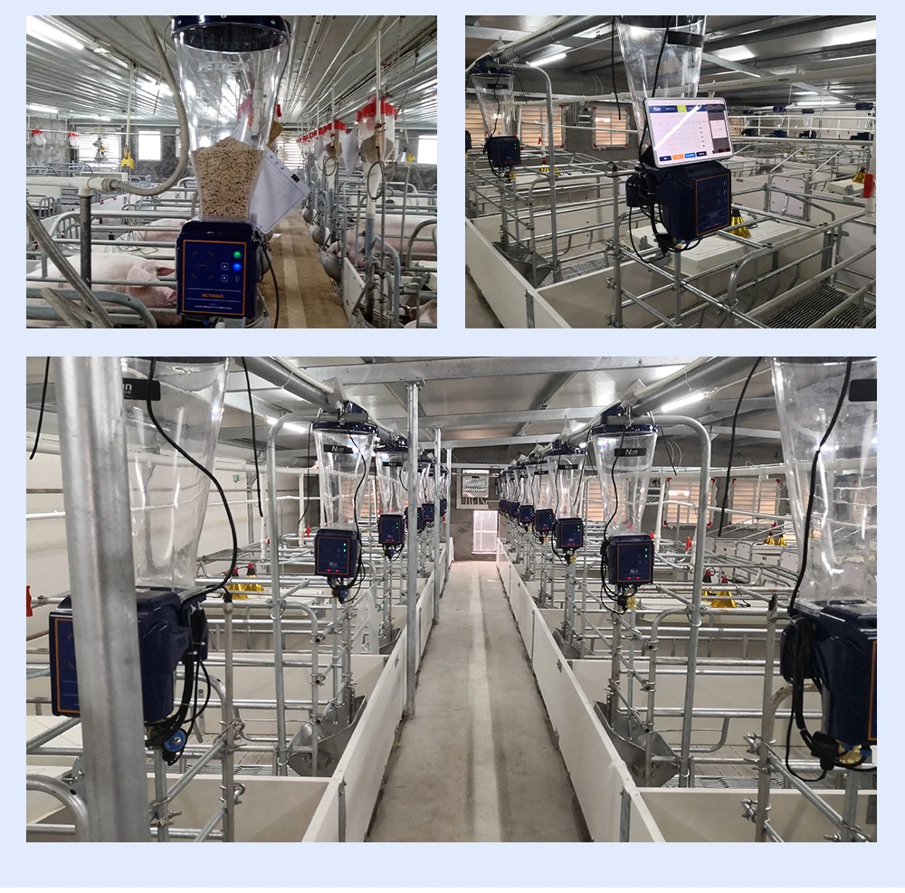 Ai Farm Smart Livestock Feeder Quantitative Monitoring Feeders| Alibaba.com