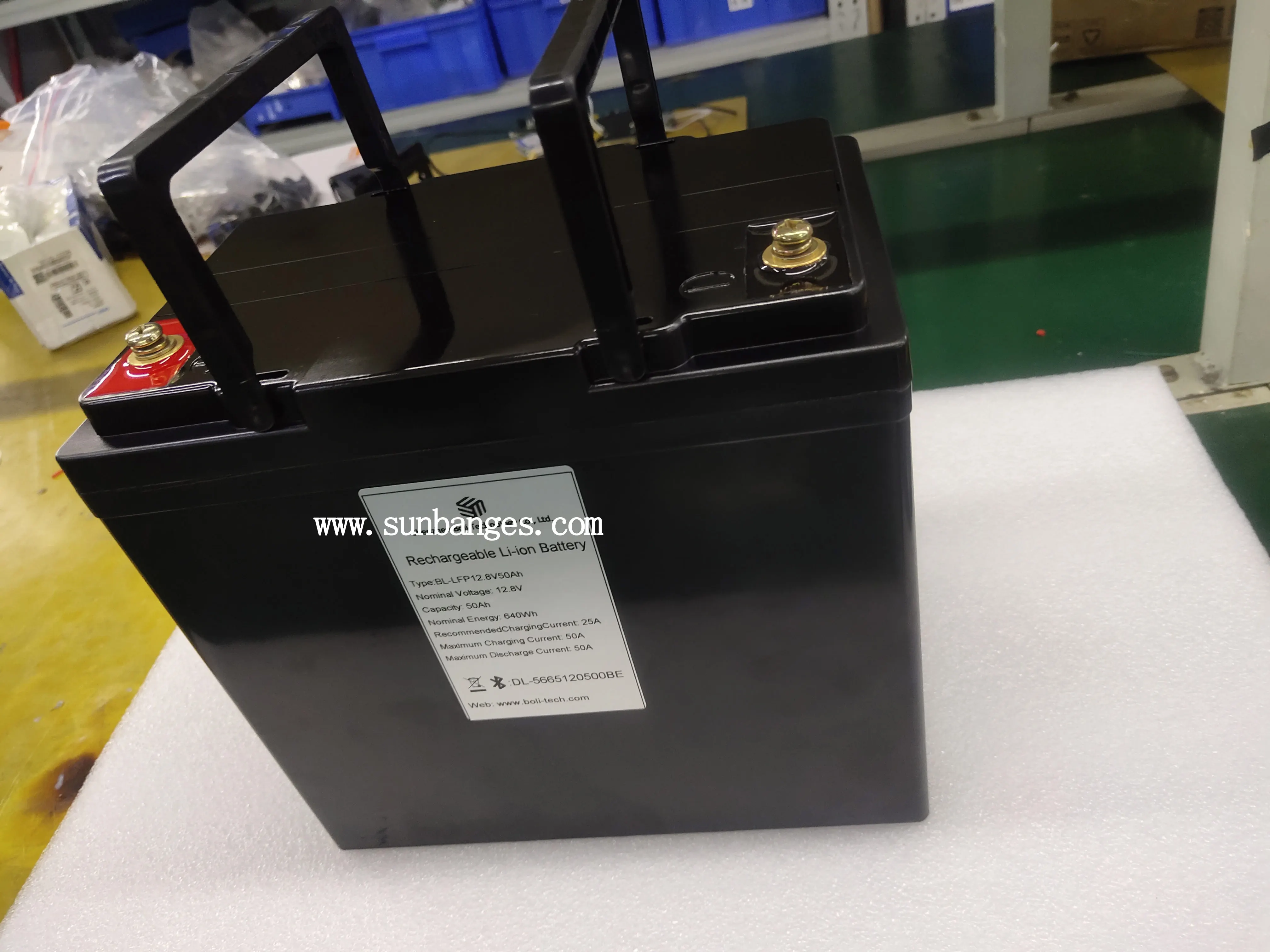 Customize Your SUNBOND 12V LiFePO4 Battery - 50Ah, Solar Compatible, 5 ...