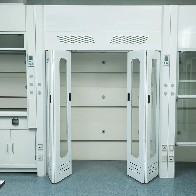 Laboratory Walk-in Fume Hoods - Efficient Chemical Extraction