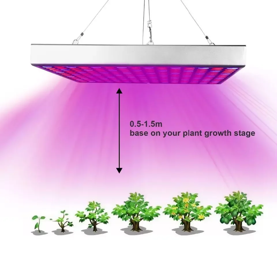 150*150*200CM Hydroponic Plant Box Complete Kits Grow Box Indoor 600D ...