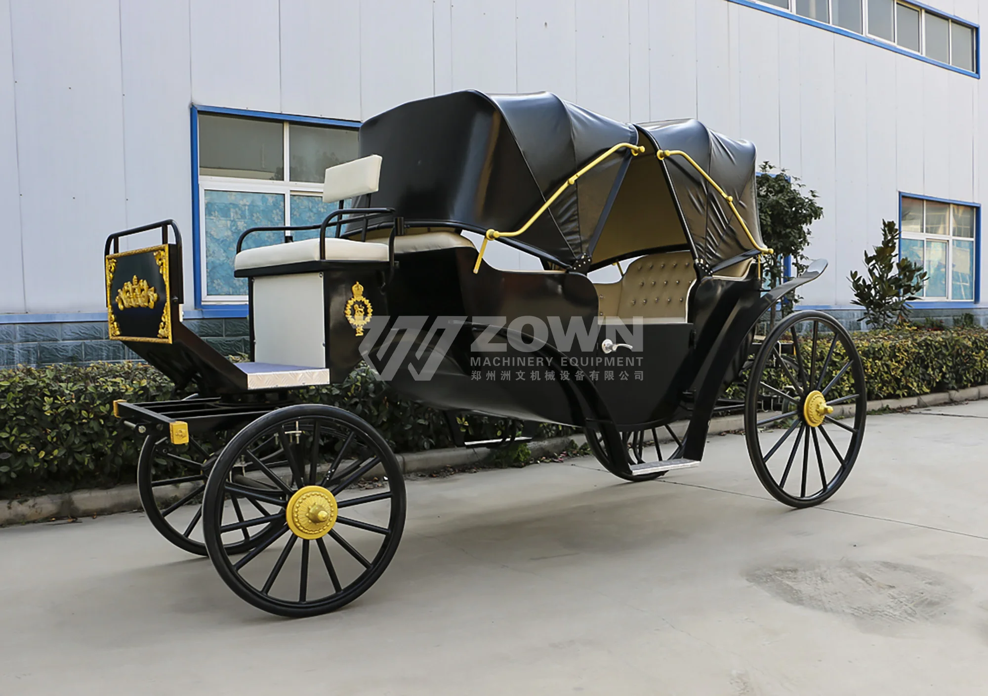 Retro Sightseeing Carriage Classic Horse Drawn Carriage Royal Victorian ...