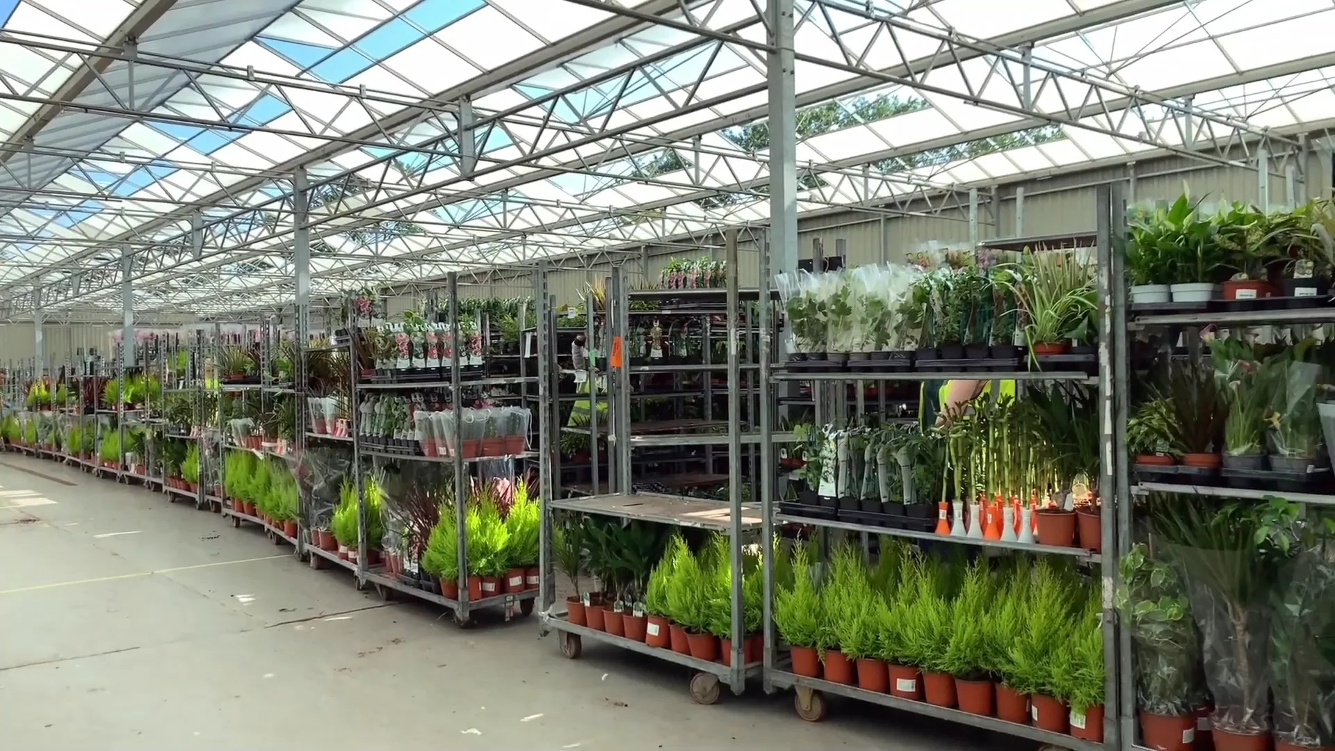 Garden Danish Nursery Greenhouse Plant Transport Wire Mesh Multilevel ...