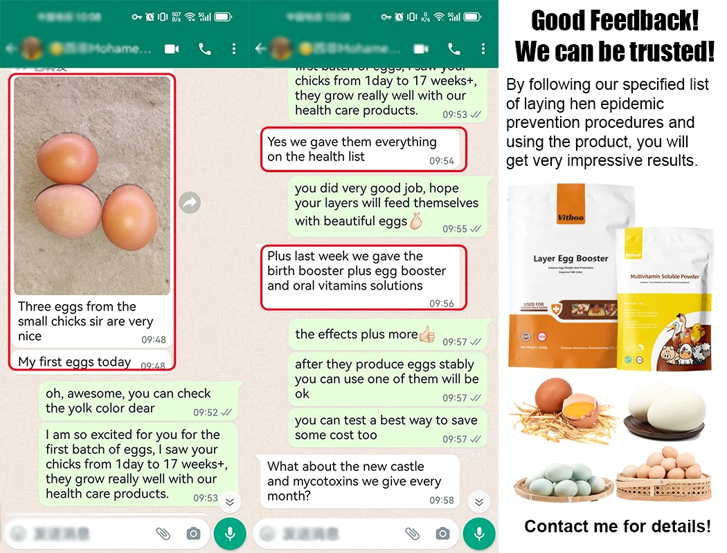 Growth Booster Multivitamin Oral Liquid Poultry Cattle Rabbit ...