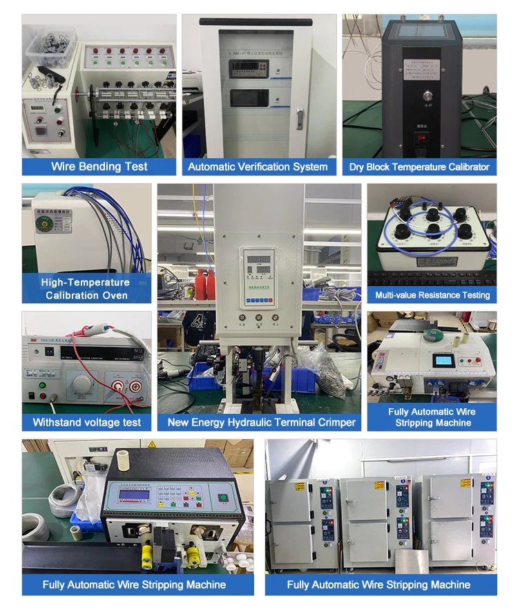 PT100 Temperature Sensor - Heraeus Germany Imported, Class 2B Accuracy ...