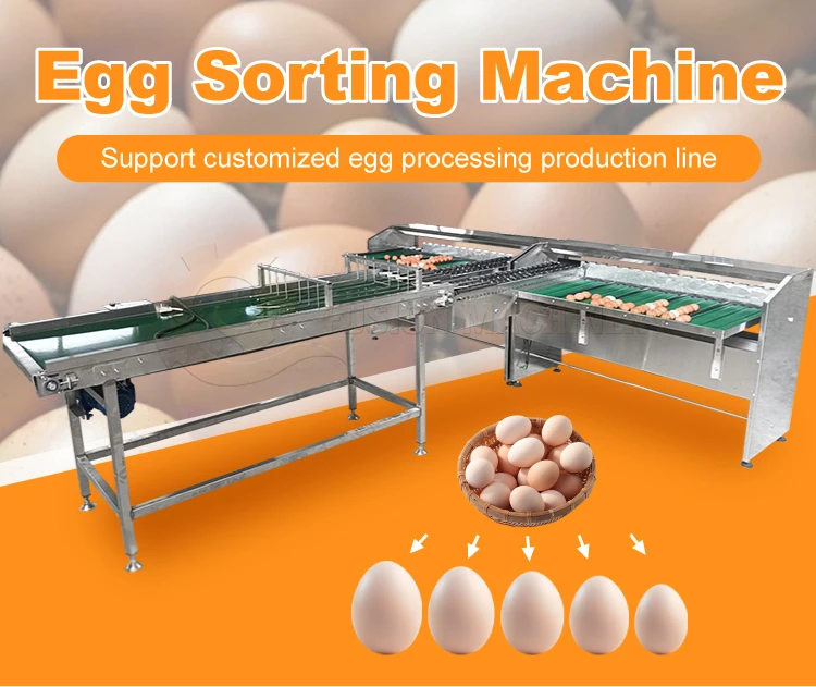 Top Performance Commercial Digital Control Intelligent Egg Grading ...