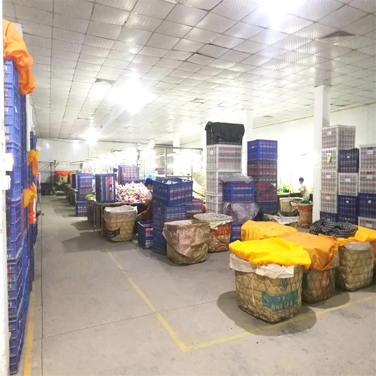 Flying Disc Launcher W/ Catch Net Catch And Shoot Plastic Discs Toys Up ...