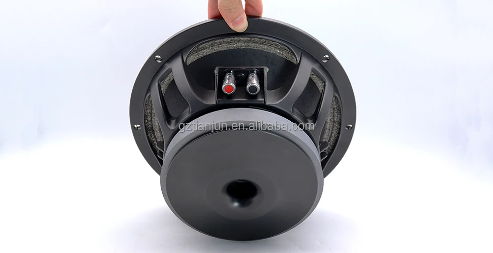 10 Inch Midbass Speaker - Professional Sound Equipment