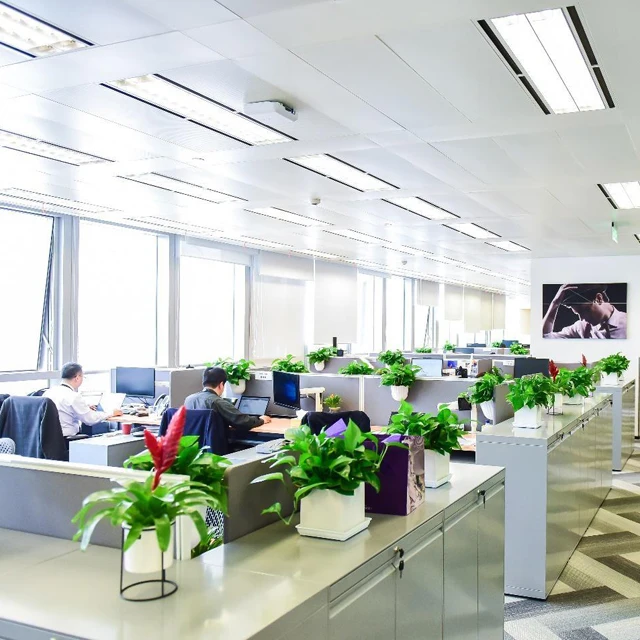 Wholesale Plastic Material Virgin Expandable Polystyrene EPS Beads ...