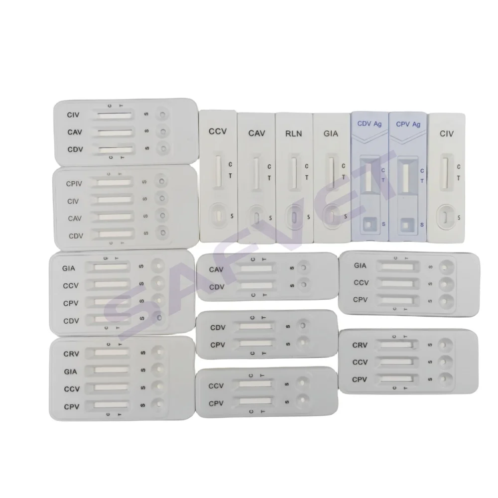 Canine Disease Test Kit - Rapid Diagnostic for Veterinarians