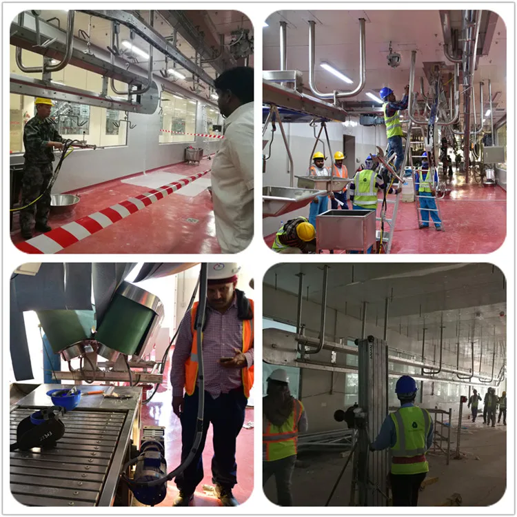 Halal Mutton Abattoir Equipment for Lamb Slaughter House Meat Process ...