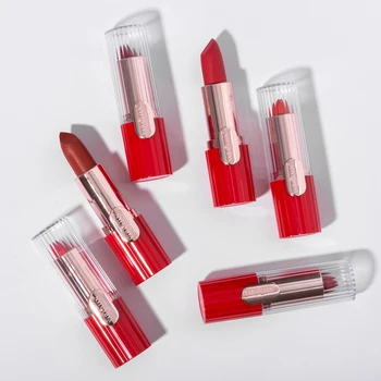 Multi-color Lipstick Set Custom Lipstick Set Moisturizes Waterproof ...