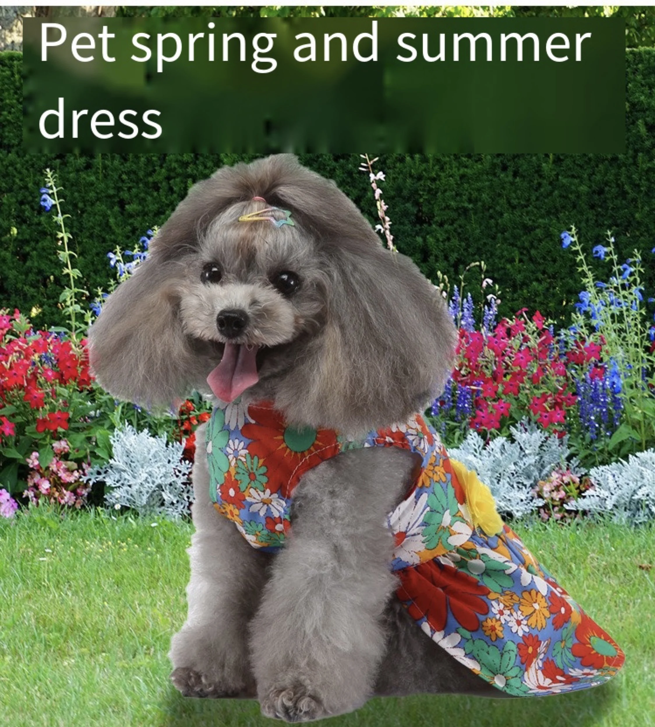 Custom Label Custom Dog Clothes Durable With Wholesaler Dog Clothes Dog ...