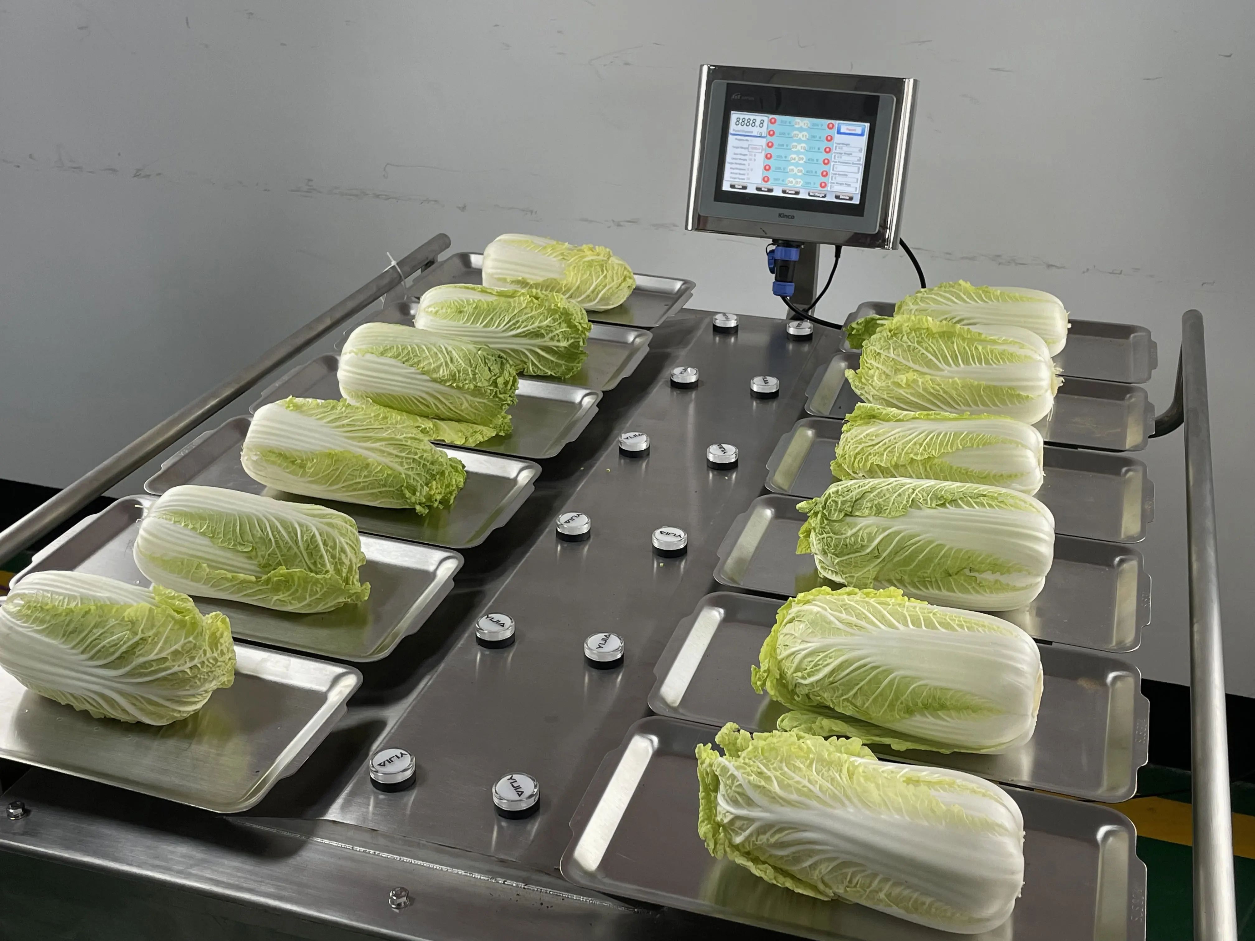 Manual Crushed Vegetable Fresh Vegetables And Fruits Weigher,Multi Head ...