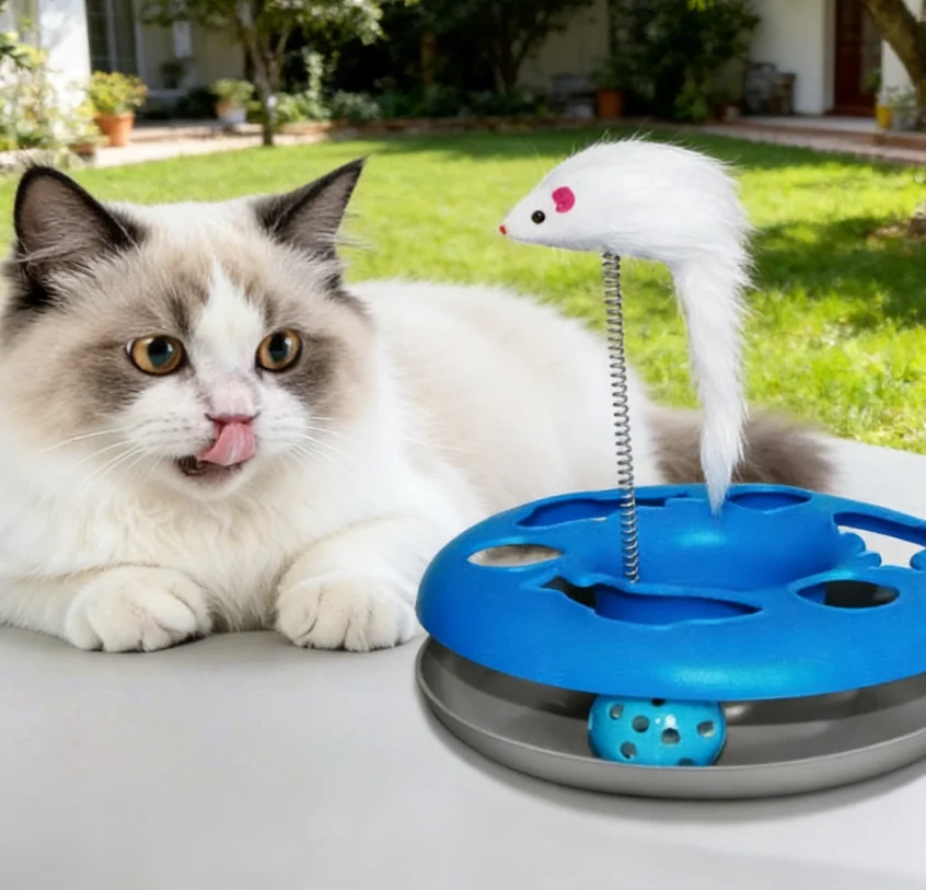 Eco-Friendly B-PET Model Cat Scratch Toys Plastic Double Turntable Set ...