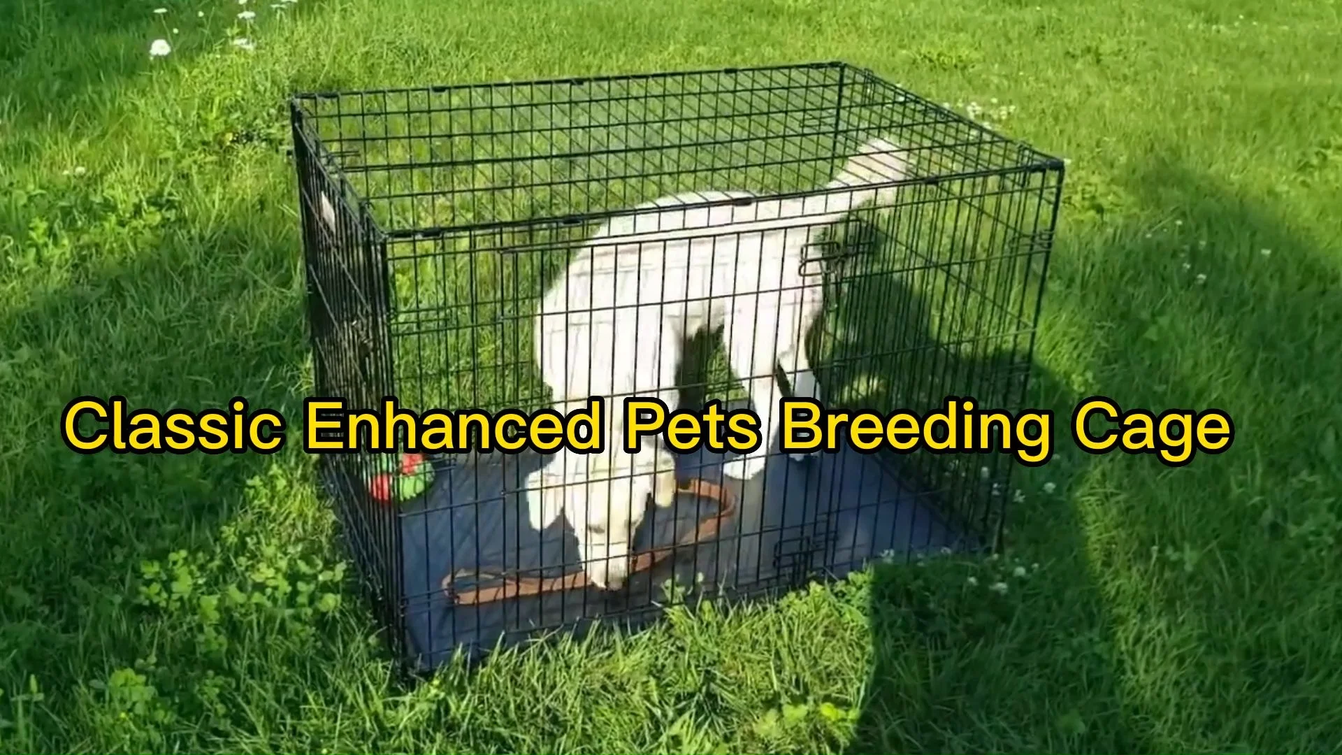 Hot Sale Classic Breeding Cage Pets Enhanced Single & Double Door Dog ...