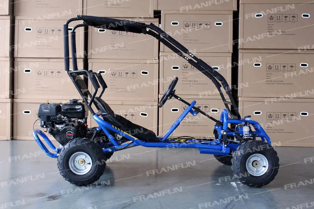 Passionate Adults Outdoor Go Karts - Gas Powered 2WD Racing Buggy for ...