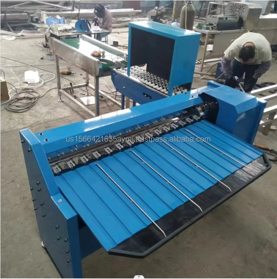 Eggs Quail Sorting Egg Sorting Grading Machine Egg Washing Grading And ...