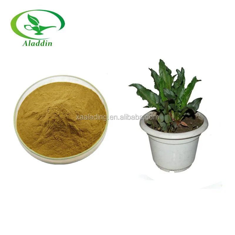 Plant Extract Folium Isatidis Extract Powder Indigowoad Leaf Extract ...