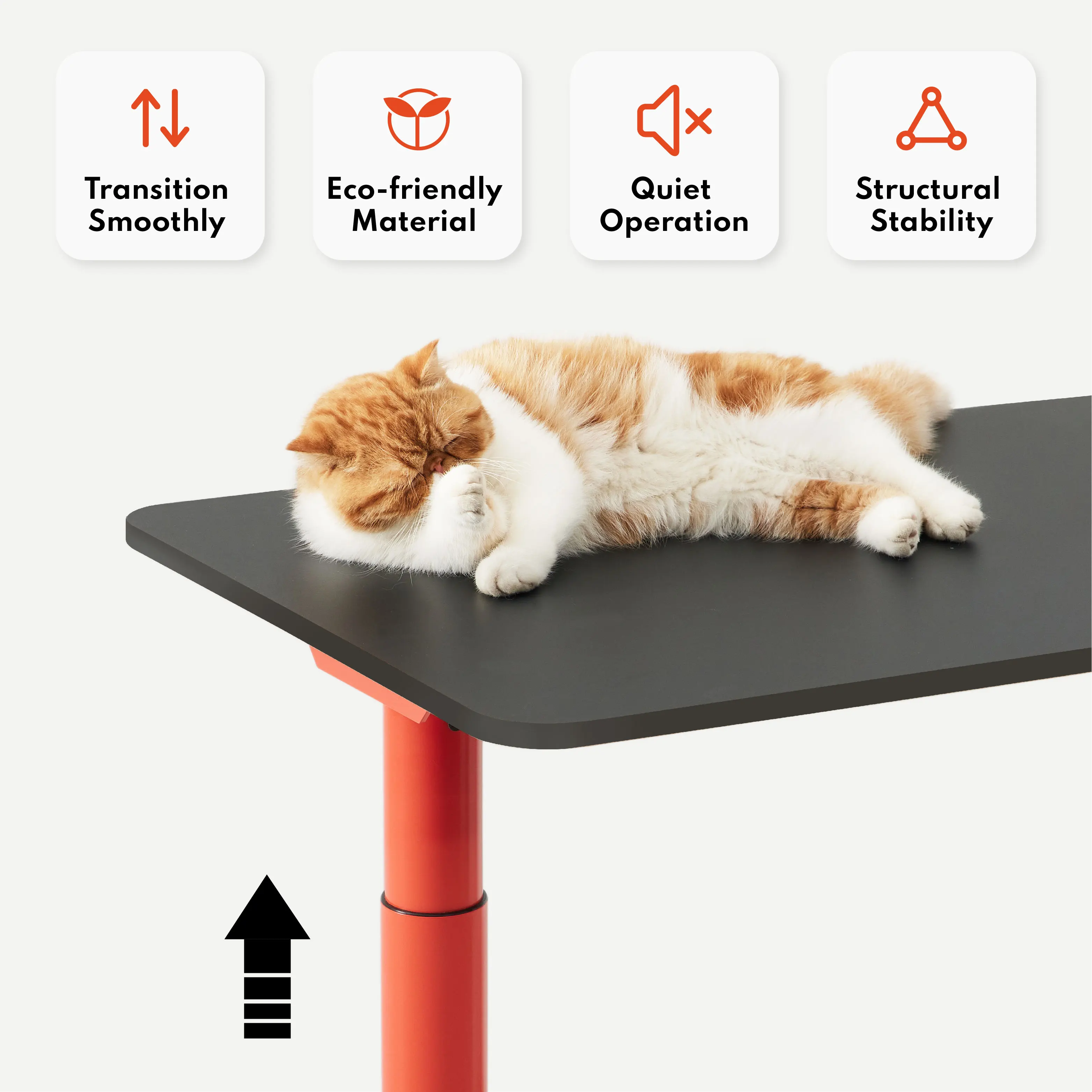 Single Motor Office Electric Adjustable Height Tables