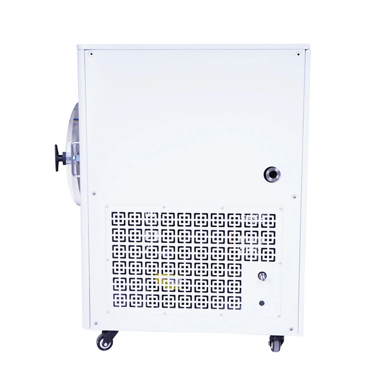 Freeze Dryer Lyophilizer Lyophilization Machine Vacuum Freeze Drying ...