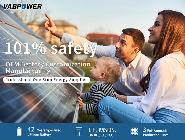 Lithium Ion Battery Pouch Cell With Bms 25ah 50ah 60ah 100ah Gotion ...