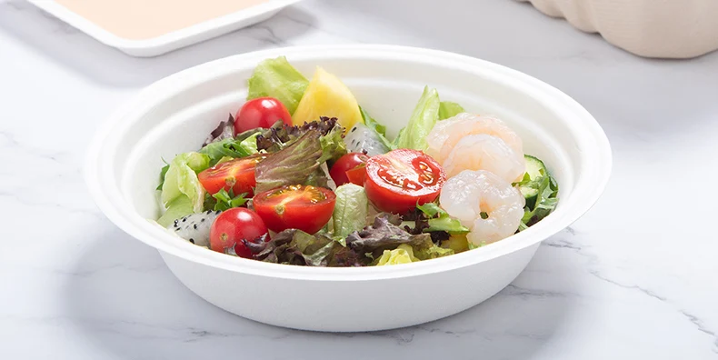 Oasis Compostable Biodegradable Disposable Sugarcane Bagasse Pulp Mould ...