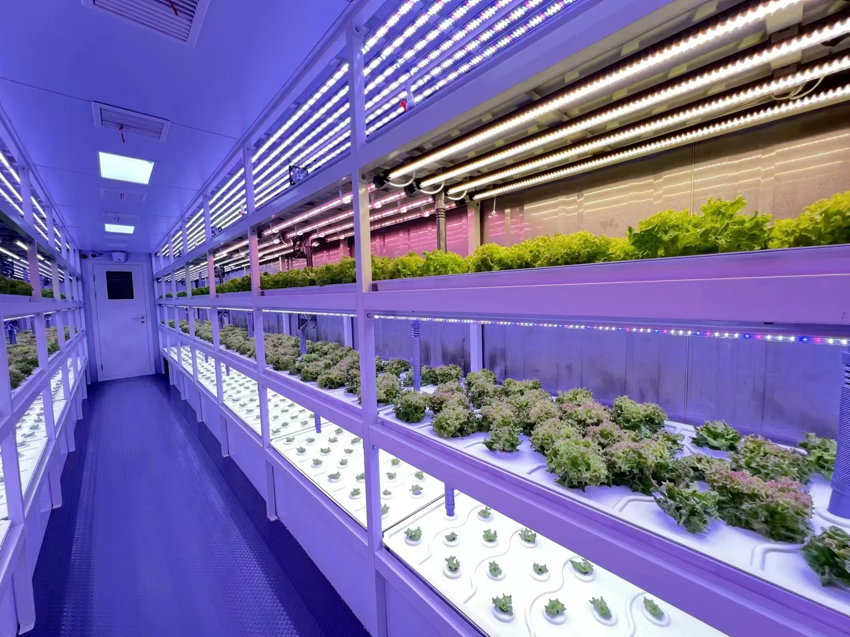 Skyplant Vertical Farming - Hydroponic Container Greenhouse