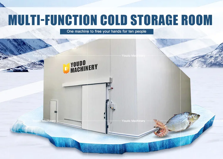 20ft 40ft Stainless Steel Automatic Diy Fish Refrigerator Tomato Onion ...