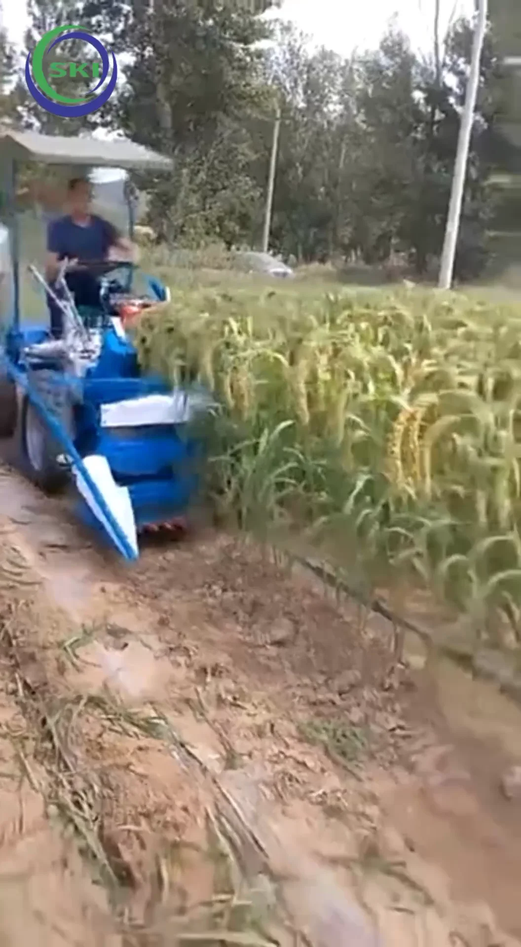 Automatic Wheat Harvester Walking Tractor With Rice Reaper Binder Mini ...