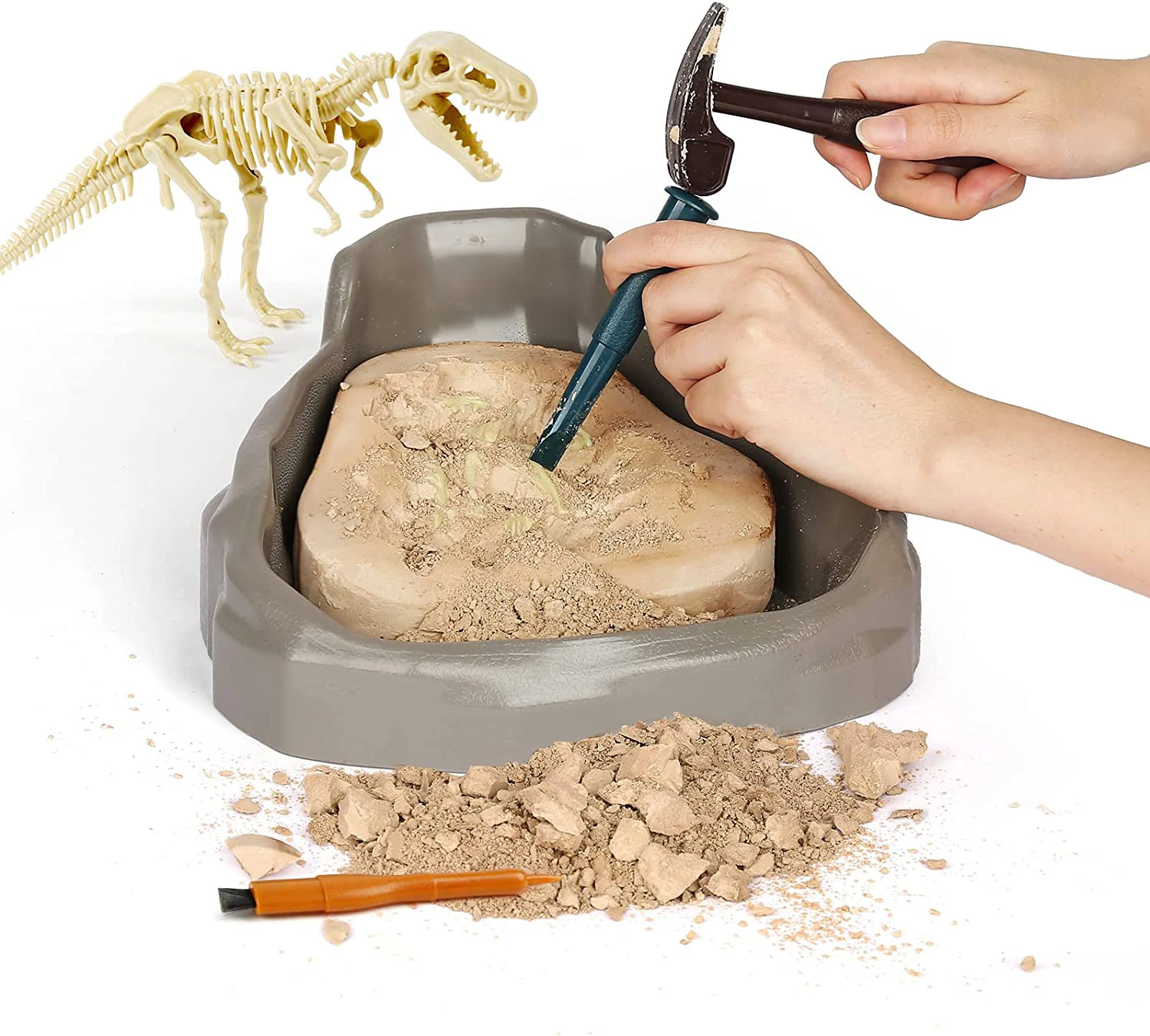 Dinosaur Dig Kit For Kids Dinosaur Fossil Bones Excavation Kit Stem ...