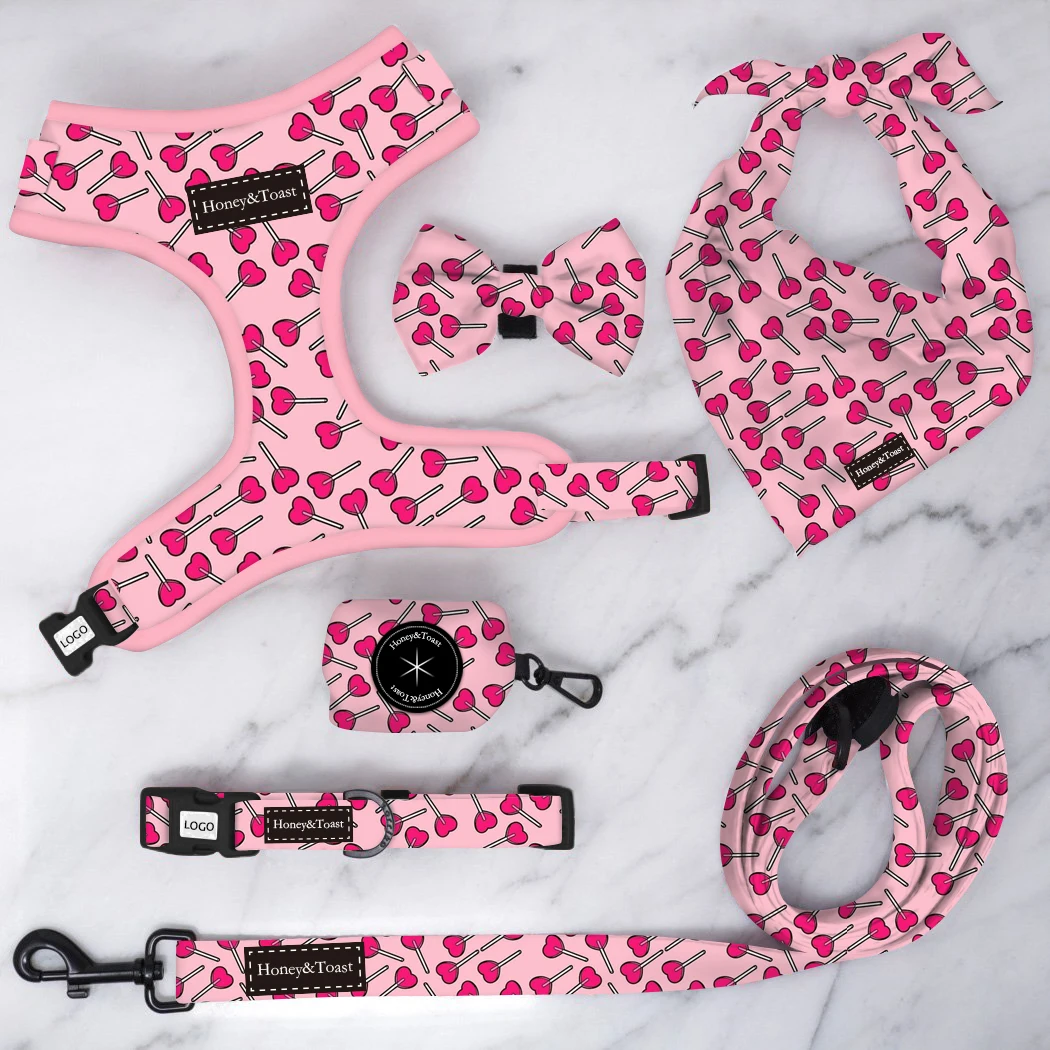 Customizable Dog Harness - Durable, Adjustable, Fashionable