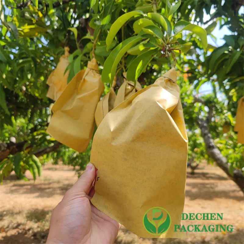 Fruit Bagging in Mango Quotes with Fruit Bagging Factories ...