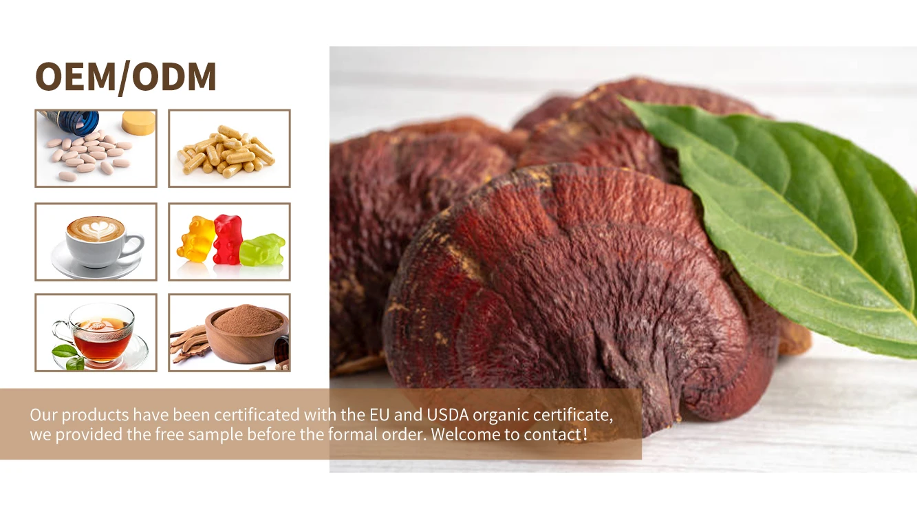 Ganoderma Lucidum Powder Ganoderma Lucidum Extract Polysaccharide - Buy ...