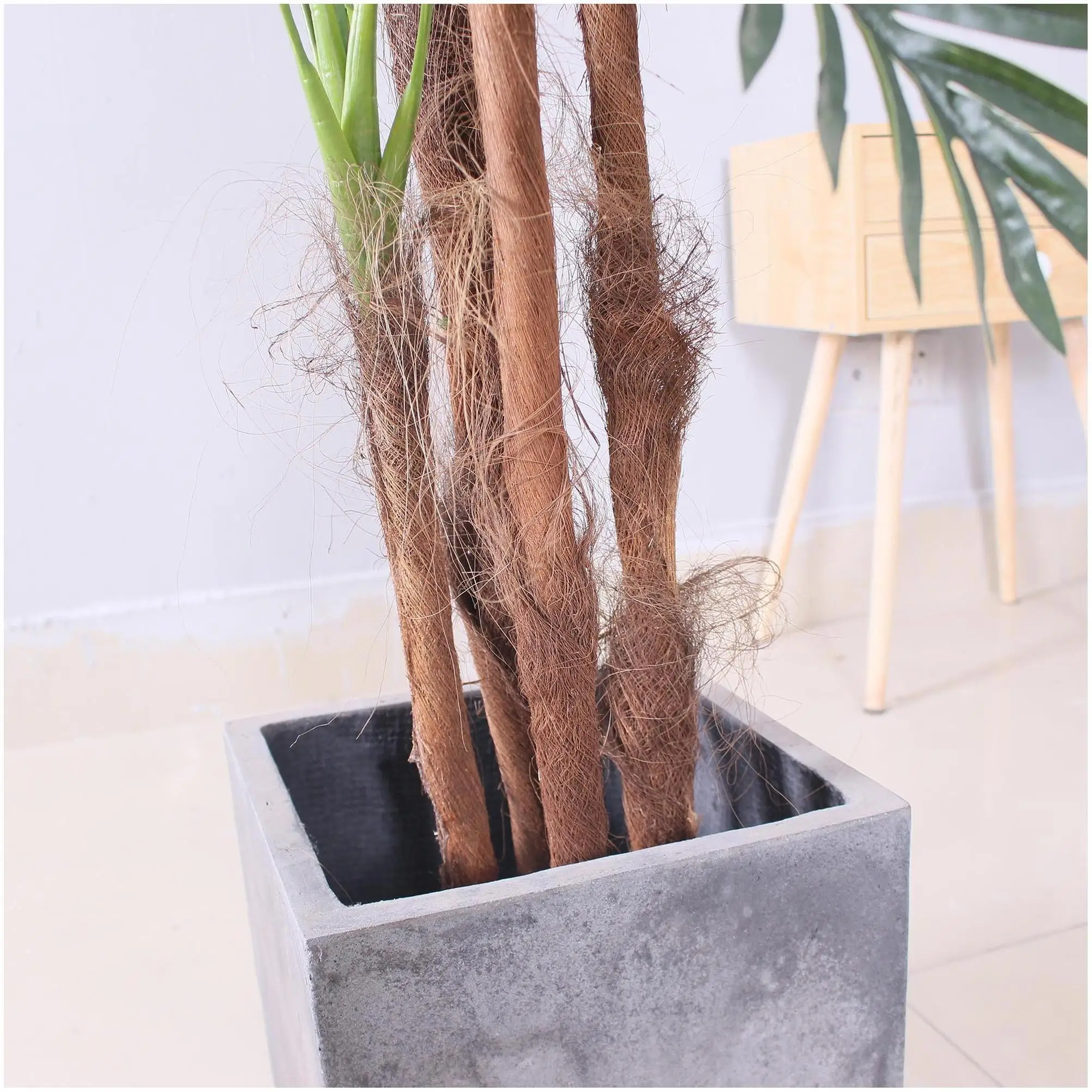 Plant Artificial Tree Trees Outdoor 2024 Palm Oem/odm Olive Low Price ...