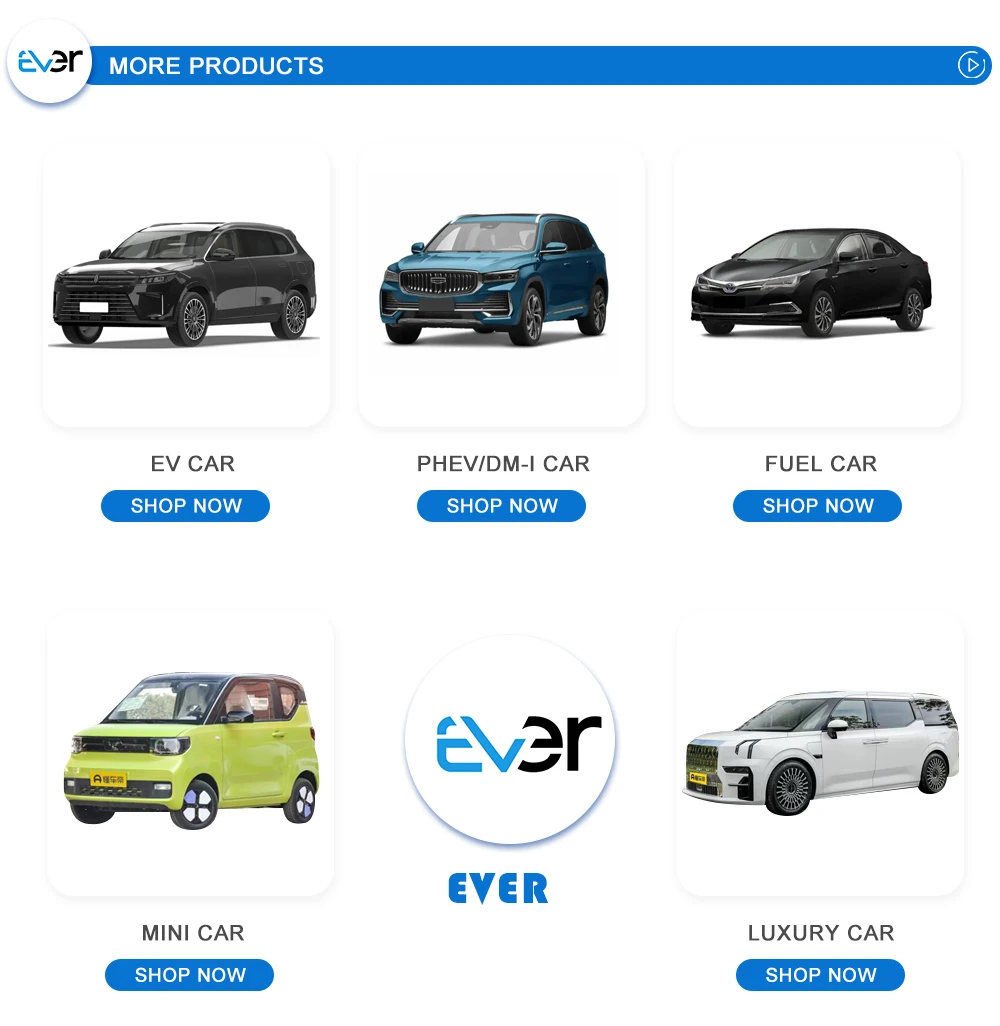 2023 Fashion Style Gwm Electric Car Ora Good Cat Ev 400km Standard ...