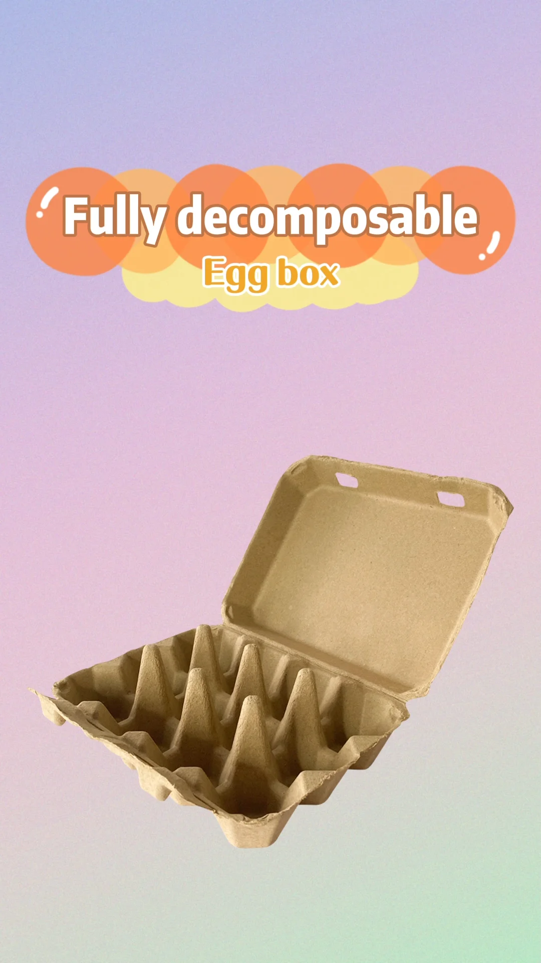 Paper Pul Egg Paper Storage Carton For Custom Size Biodegradable Pulp ...