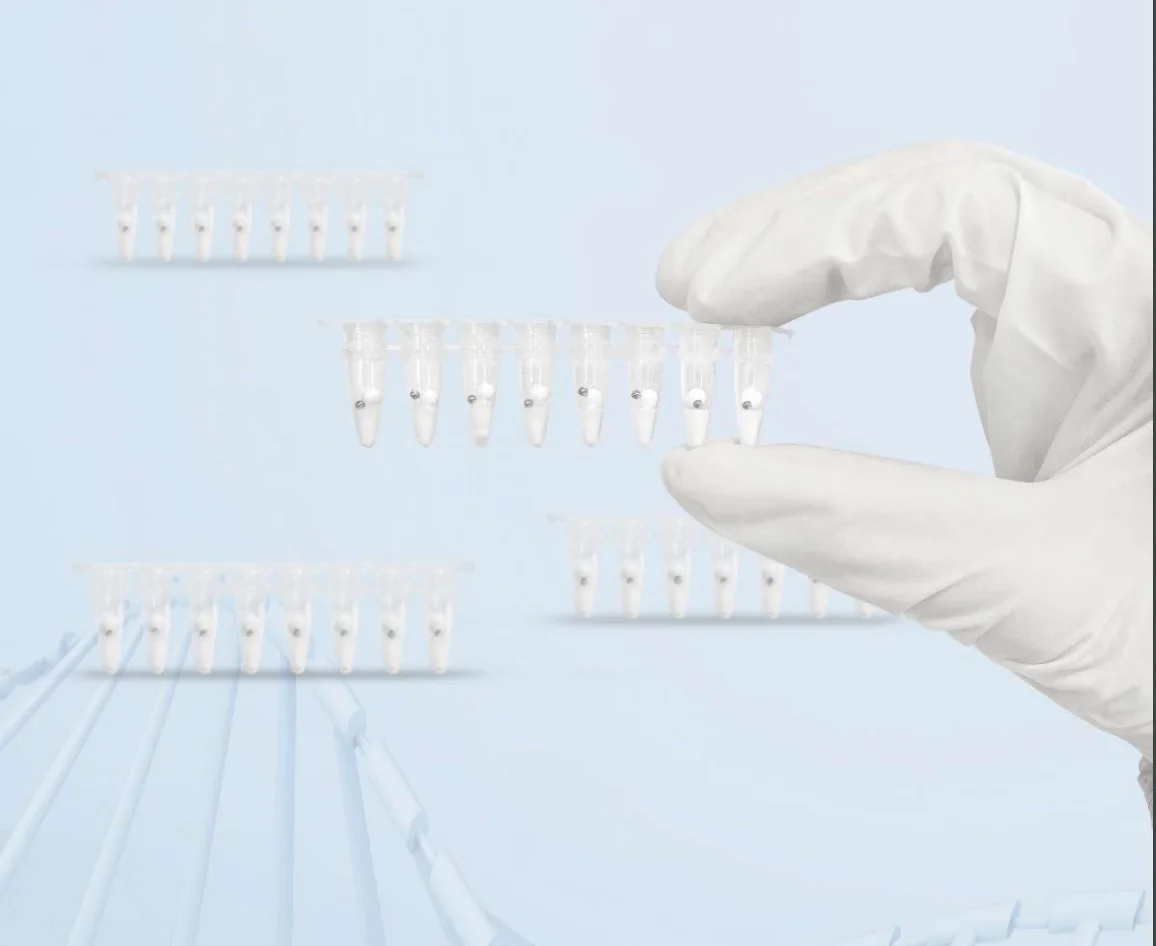 PCR 8-Tube with caps PCR and qPCR applications. DNA amplification and ...
