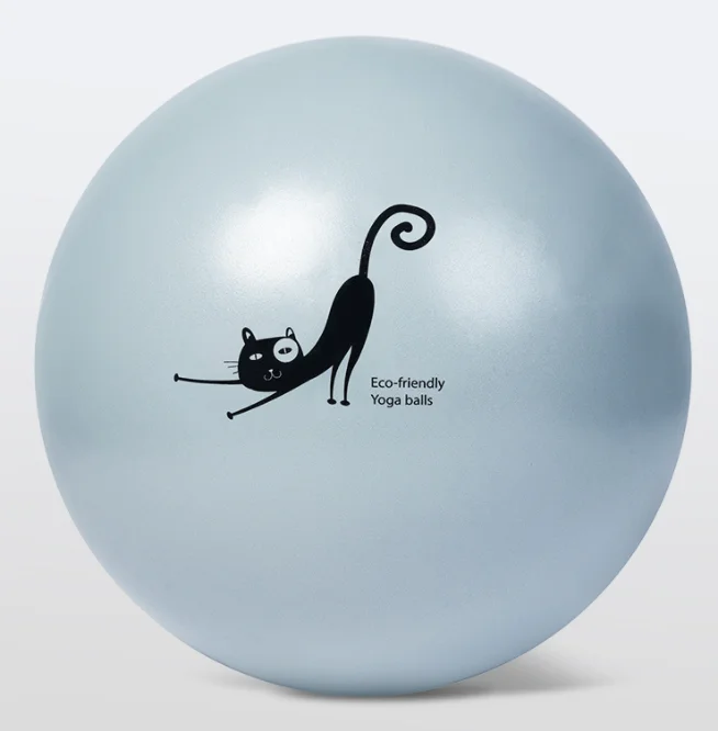 Exercise Ball Small,6 Inch Small Ball For Pilates With Pump,6 In Barre ...