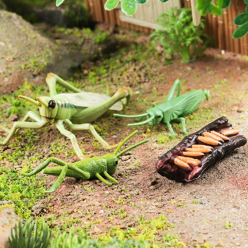 Toy Insect Plastic Small Pvc Insect Toy Plastic Insect Kids Toys - Buy ...