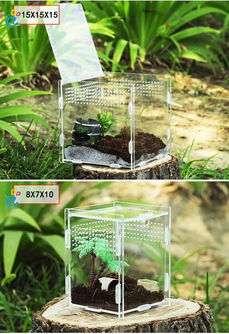 Custom PVC Reptile Display Cases Reptile Breeding Racks Acrylic Plastic ...