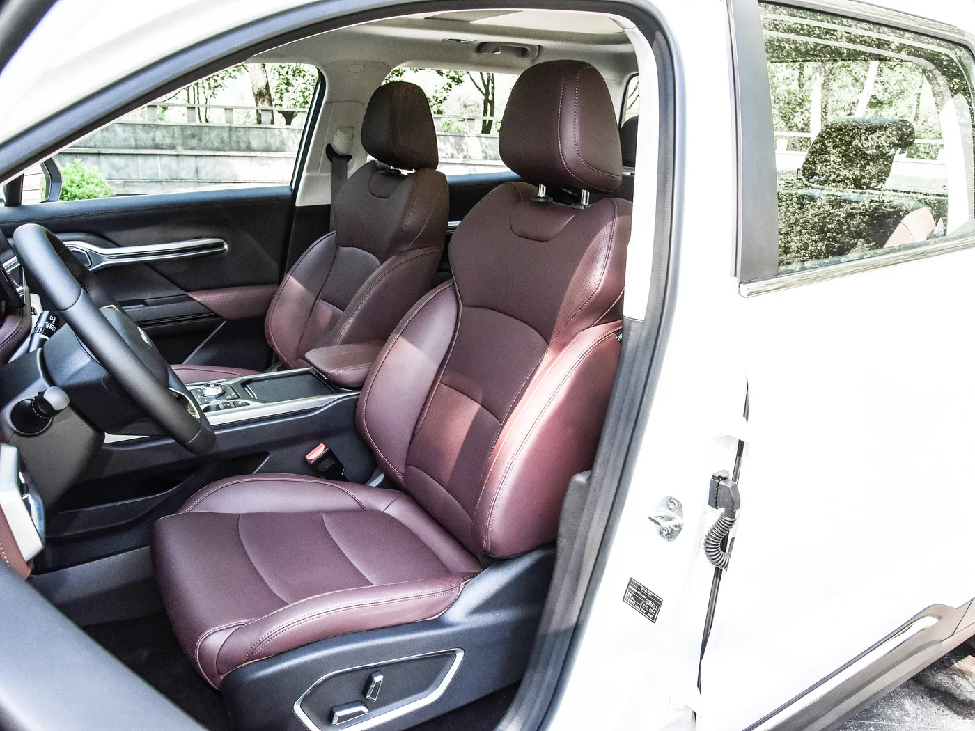 Geely Radar RD6 Electric Pickup - 550km Range & Joyful Edition