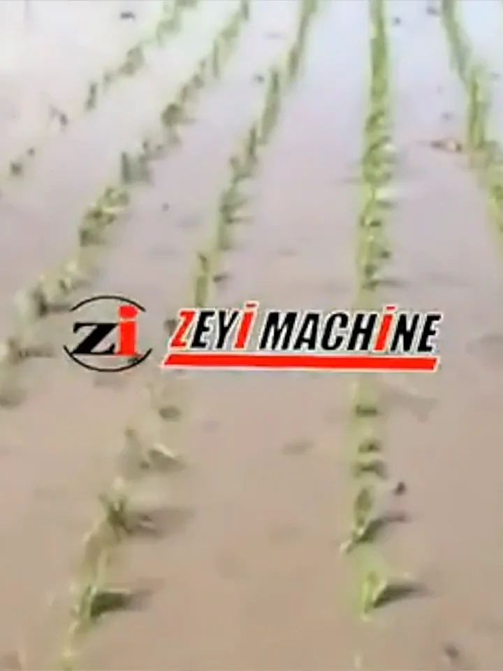 4 Row Manual Rice Transplanter Machine Planter Rice Paddy Seed ...