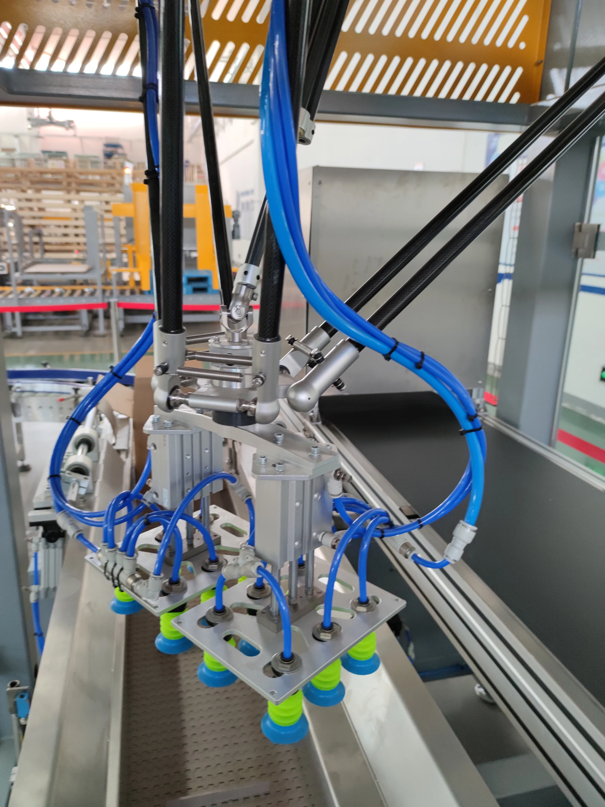 High Speed Delta Robot Case Packer - Efficient & Reliable